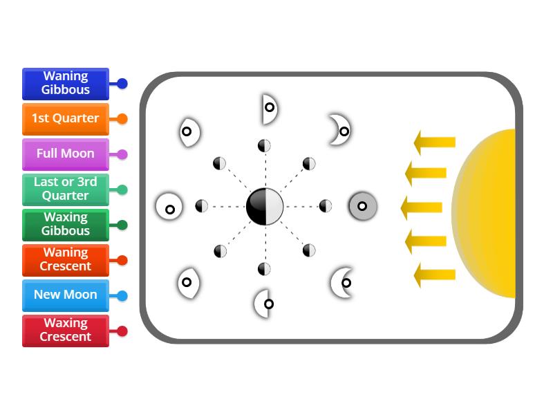 Phases of the moon - Labelled diagram