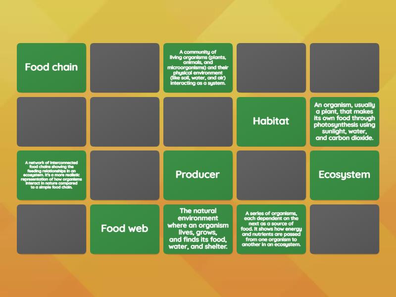 - Ecosystems - Matching pairs