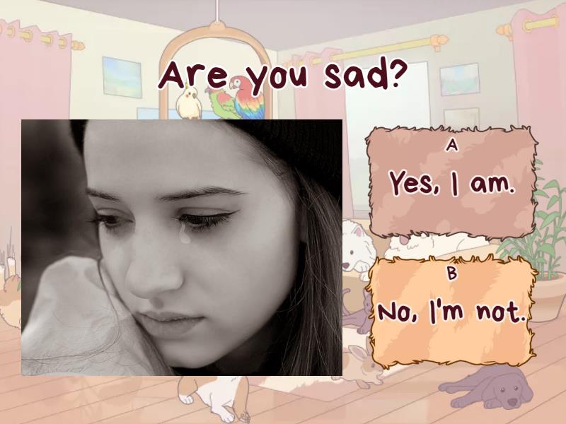 Yes, I am / No, I'm not - Quiz