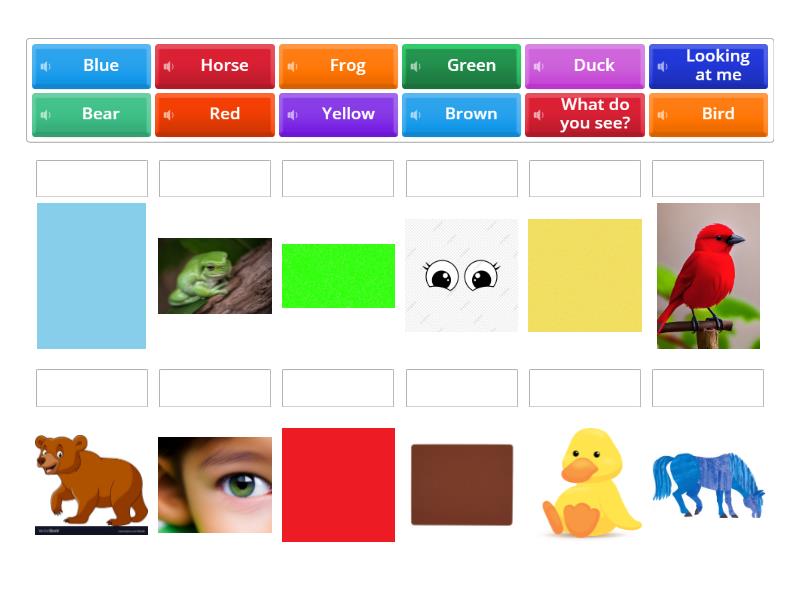 Brown Bear, Brown Bear, What Do You See? - Match up