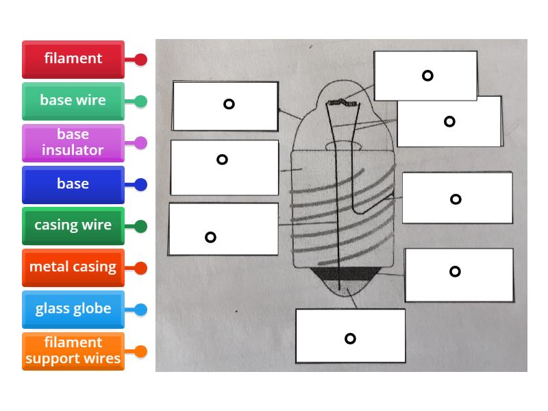 Grade 4 Science Test: Label your light bulb - Labelled diagram