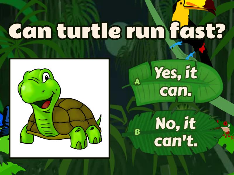 1st Grade - Unit 6 Can/Can't - Quiz