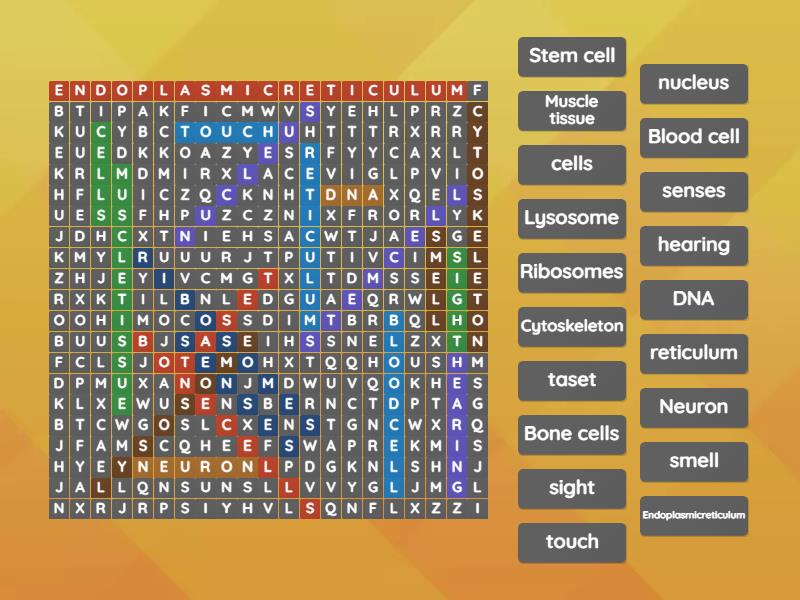 cell word search HARD CORE - Wordsearch