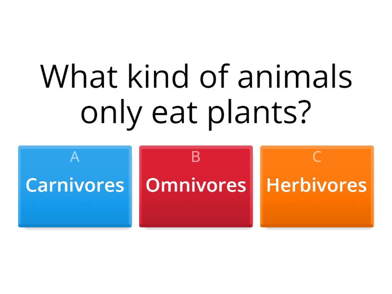 Types of Animal - Quiz