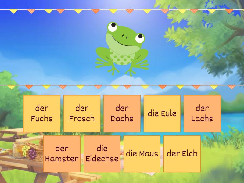 Tiere, Einheit CHS - Find the match