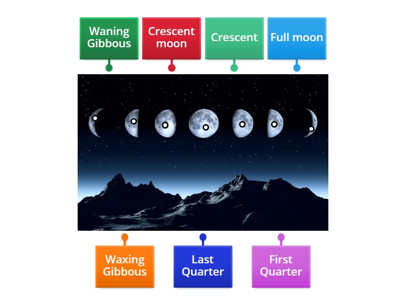 Label the phases of the moon by dragging the phase to the correct ...