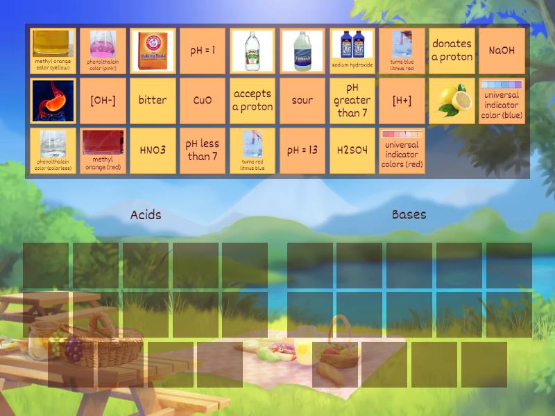 Acids and Bases Card Sort - Group sort