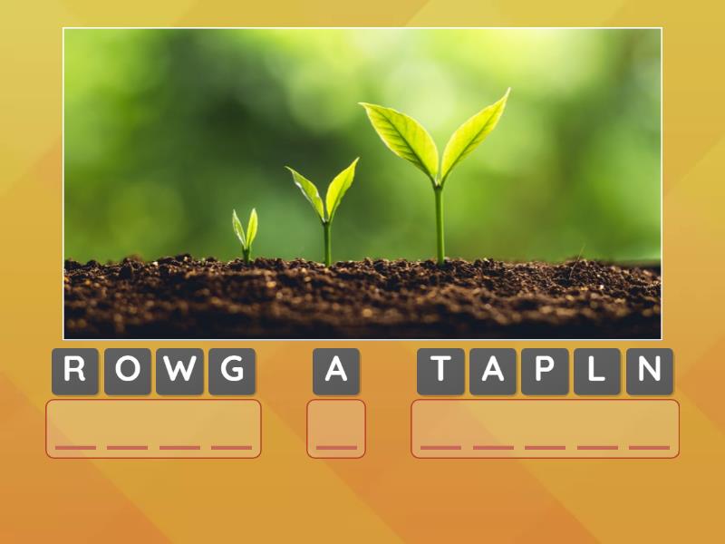 U4. Vocabulary - Anagram