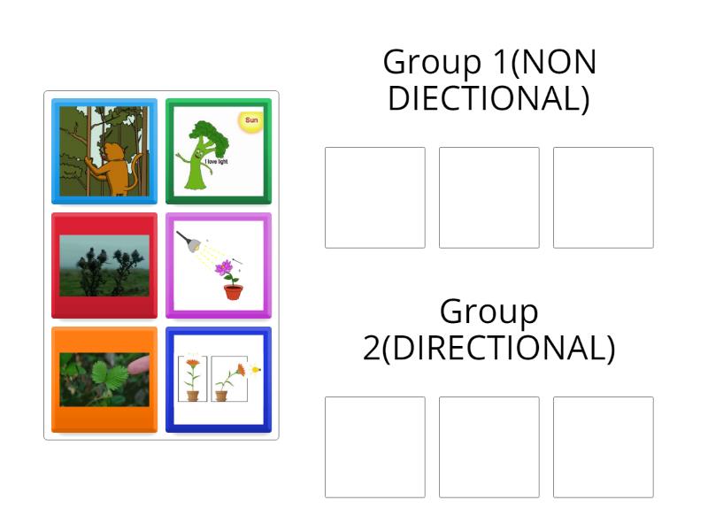NASTIC MOVEMENTS - Group sort