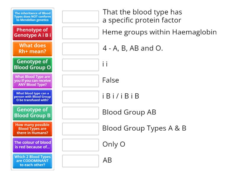 Multiple Alleles: Blood Types! - Match up