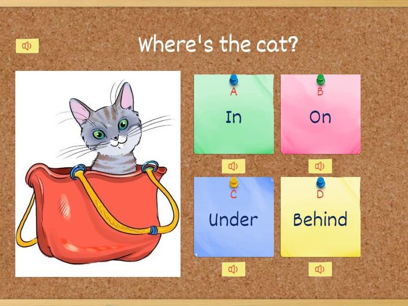 Prepositions: in, on, under, behind - Quiz