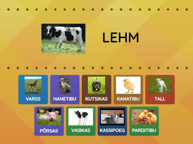 KODULOOMAD JA -LAPSED KES otsib poega - Find the match