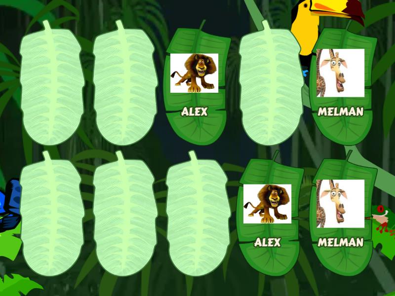 MEMORY MADAGASCAR - Matching pairs