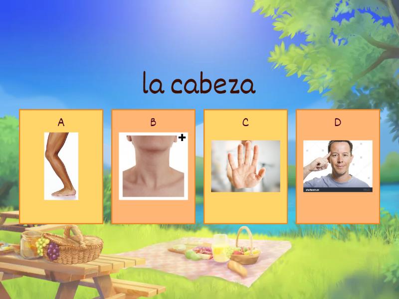 1 partes del cuerpo - Quiz