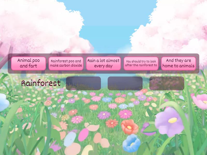 Amazon rainforest game - Complete the sentence