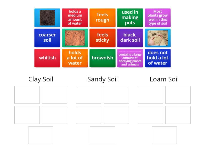 SOIL SORT! - Ordenar por grupo