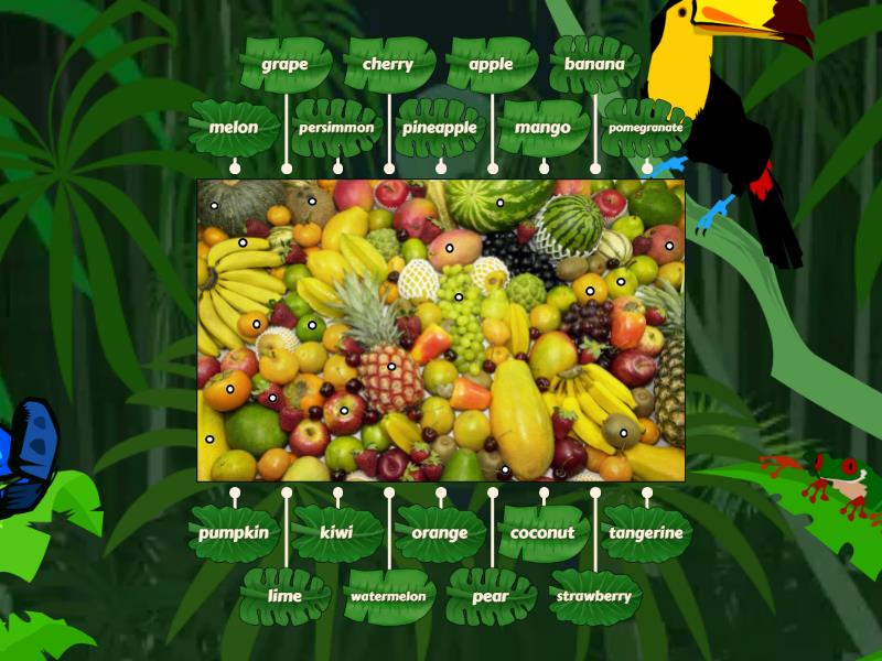 Fruit - Labelled diagram