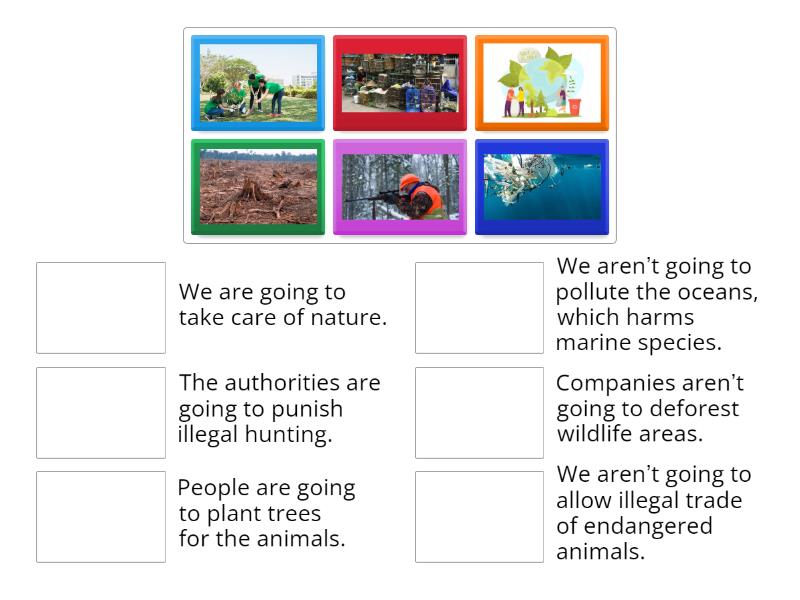 Action to protect animals - Match up