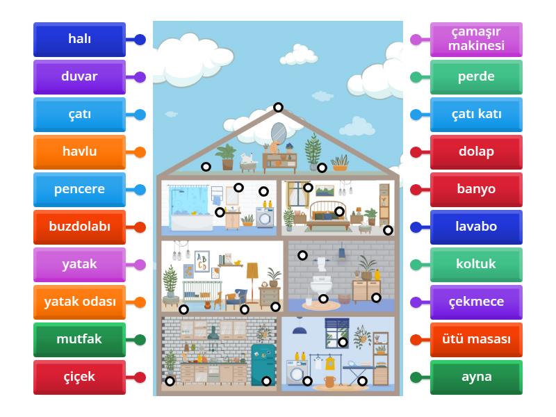 Ev - Labelled diagram