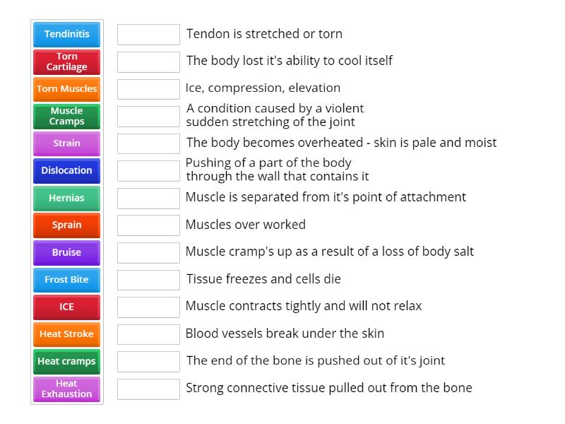 Injuries To The Skeletal System - Match up