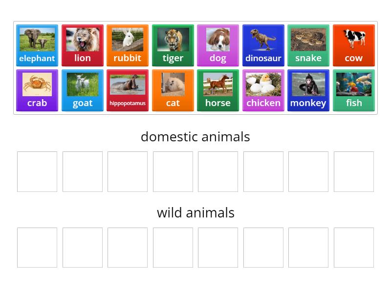 ANIMALS - Group sort