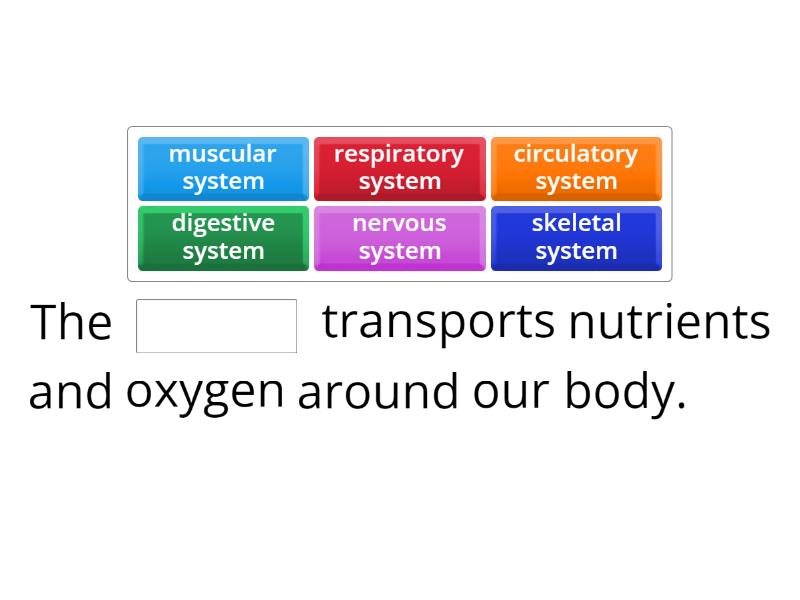 Body systems and functions - Complete the sentence