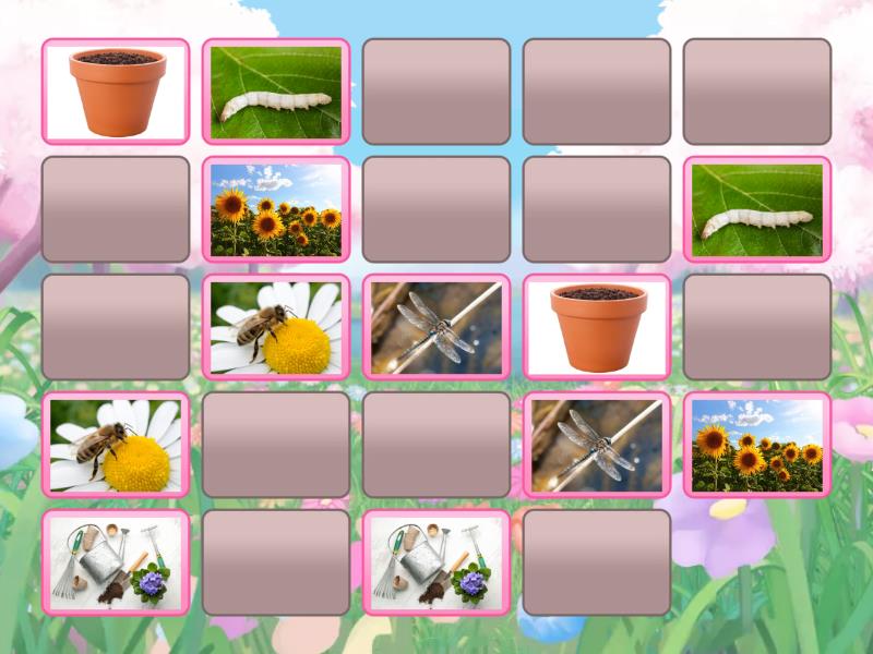MEMORY DE LA PRIMAVERA (INF - 5 anys) - Matching pairs