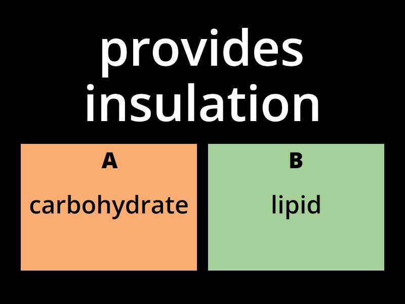 Comparing Carbs & Lipids - Cuestionario