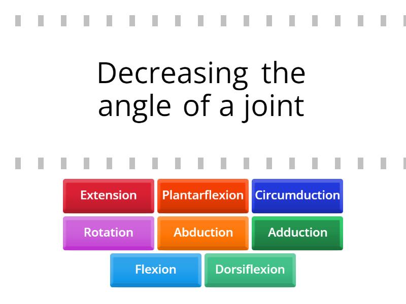 Joint movements - Find the match