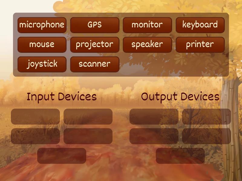 Input and Output Devices - Group sort