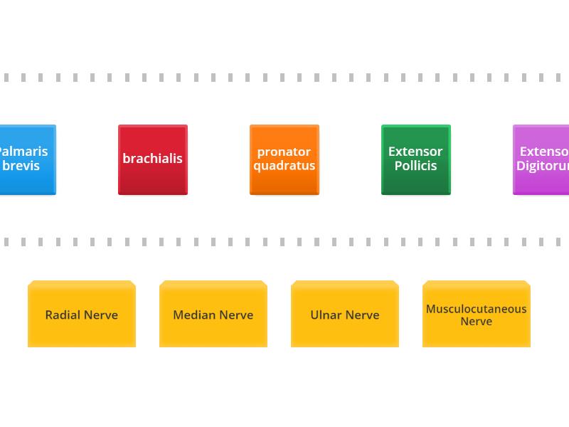 UE Innervation - Speed sorting