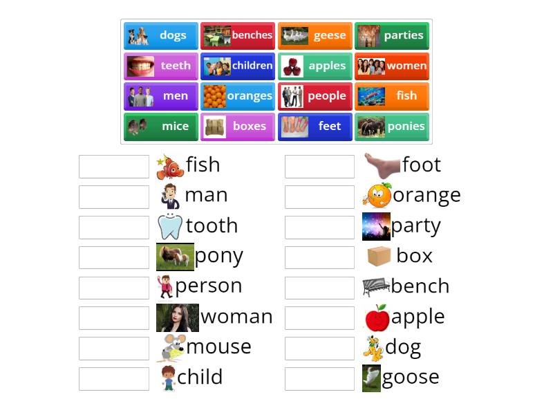 Plural Nouns - Match up