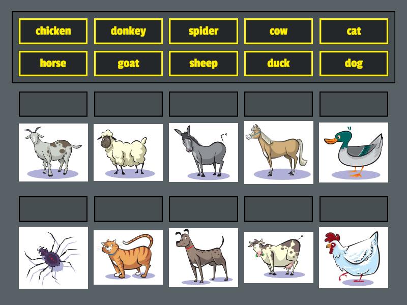 Power up unit 3 Animals - Match up