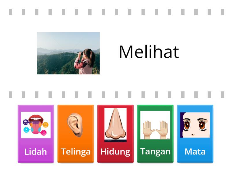 5 Deria - Find the match