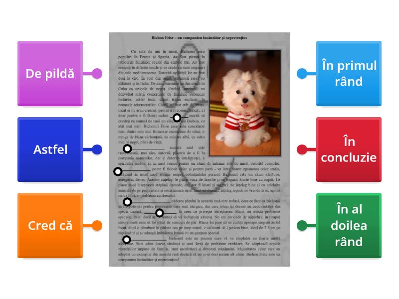 Textul argumentativ 4 - Labelled diagram