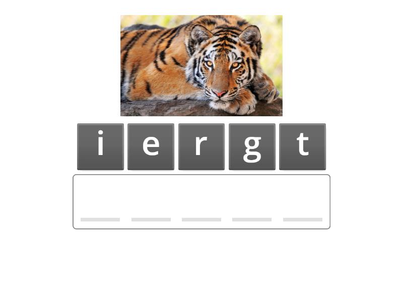 U6 - Lesson 3 - Anagram