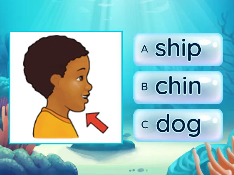 Revise words - Quiz