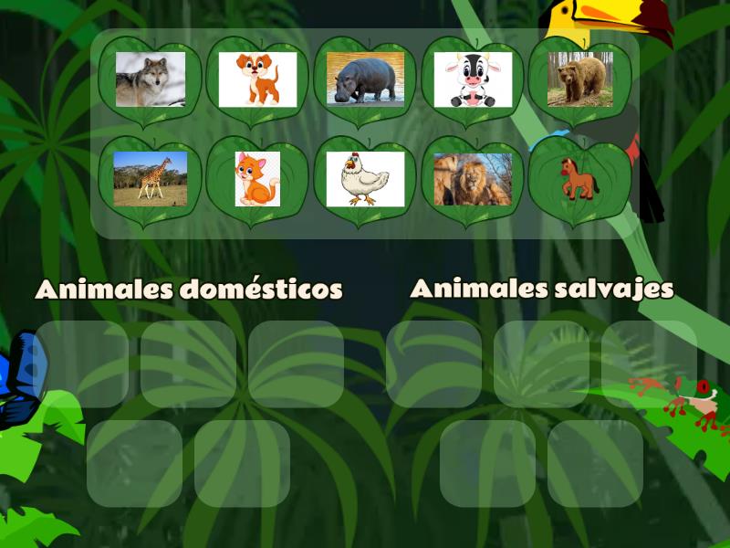 Animales salvajes y domesticos - Ordenar por grupo