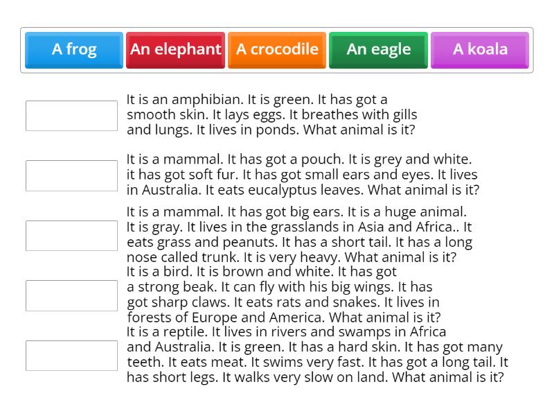 WILD ANIMAL RIDDLES - Match up