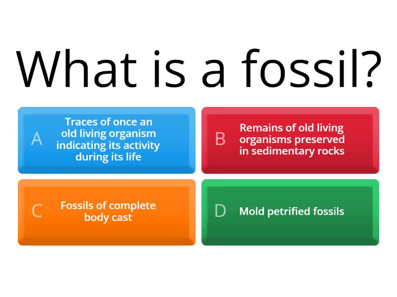 fossils - Quiz