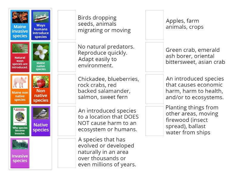 native and non native species - Match up