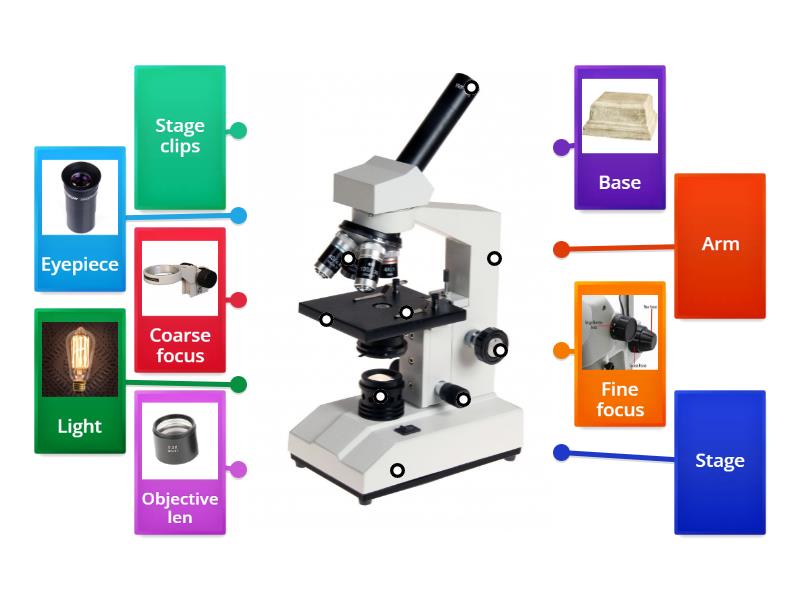 Labeling Microscope - Labelled diagram