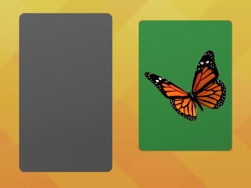 The very hungry caterpillar unit 8 - Speaking cards