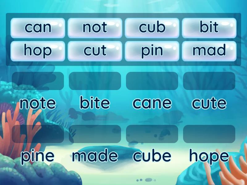Matching CVC to CVCe Words - Match up