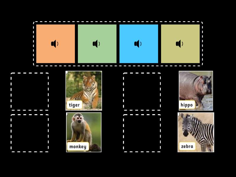 Match the name with the picture - Match up