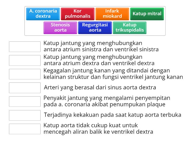ANATOMI SISTEM KARDIOVASKULAR 2 - Match up