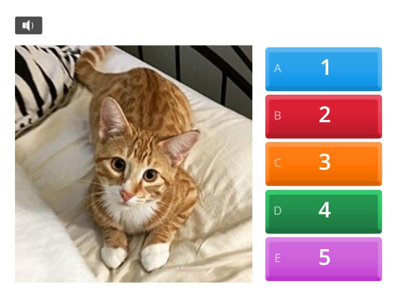 COUNT the PHONEMES. How many sounds in each word? - Quiz