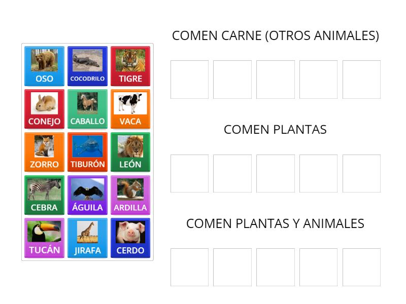 ¿QUÉ COMEN LOS ANIMALES? BENJA - Group sort