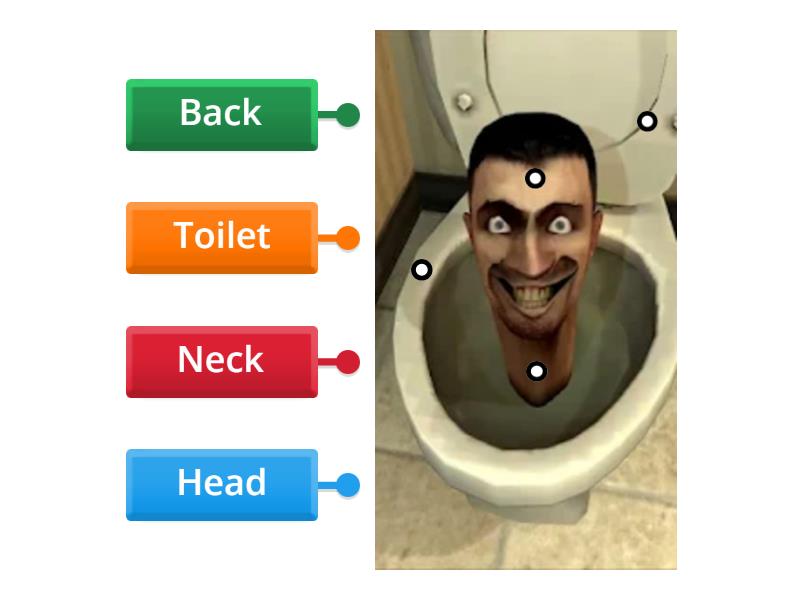 Skibidi Toilet Matching - Labelled diagram