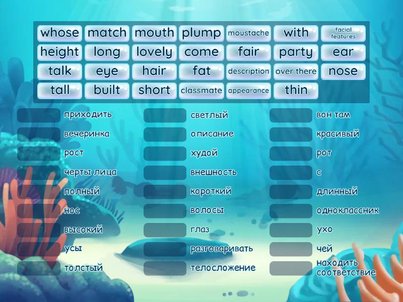 Spotlight 5. 4b - Match up